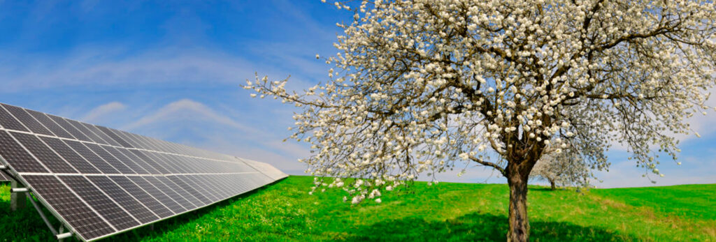 ¿Qué es una granja solar? - Revista Digital BOCADOSDITALIA